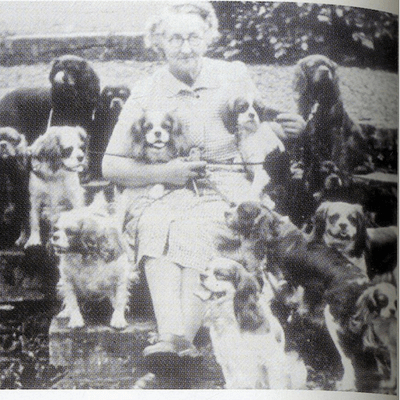 Cavalier King Charles Spaniel- Characteristics and Facts