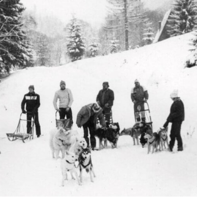 Czechoslovakian Vlcak- History, Facts, Care, Health and More